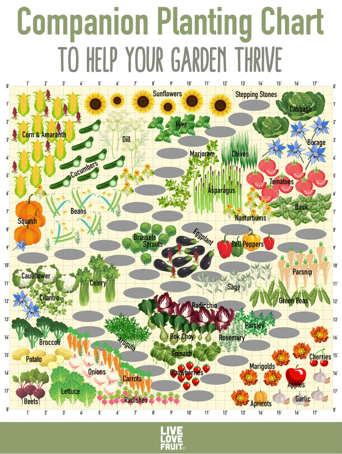 Free Printable Printable Companion Planting Chart - Free Printable Chart