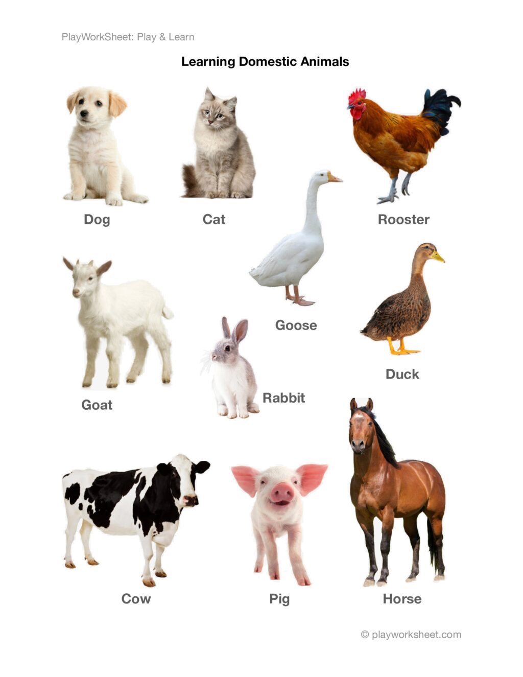 Printable Chart House Pets - Free Printable Chart