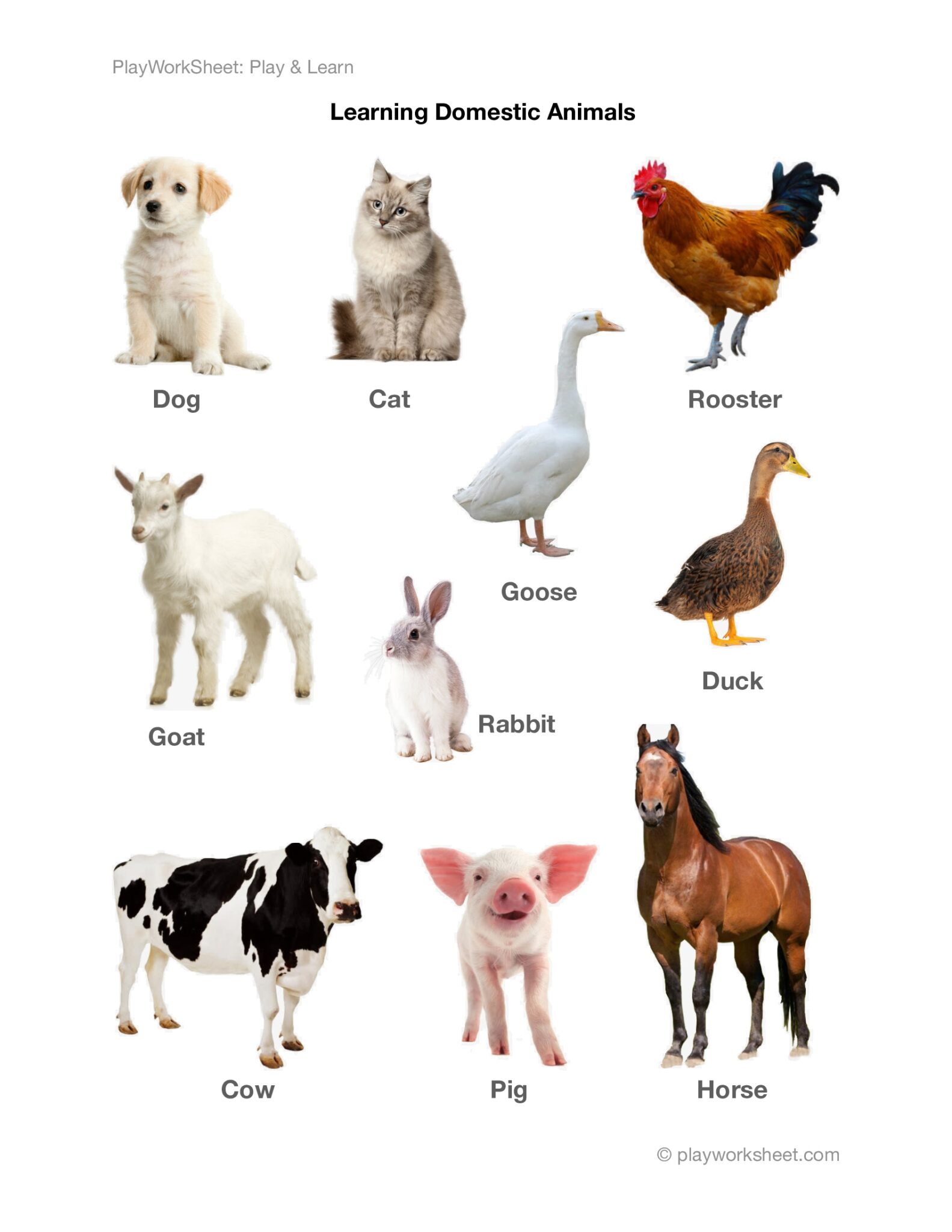 Printable Chart House Pets - Free Printable Chart