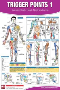 Printable Trigger Point Chart - Free Printable Chart