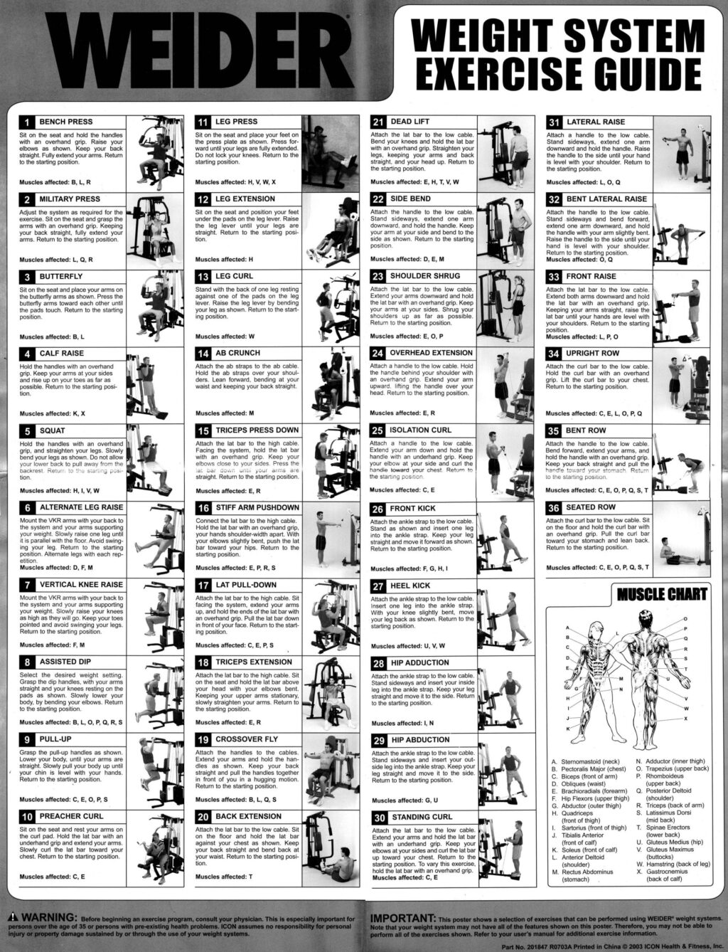 Printable Weider Exercise Chart Pdf - Free Printable Chart